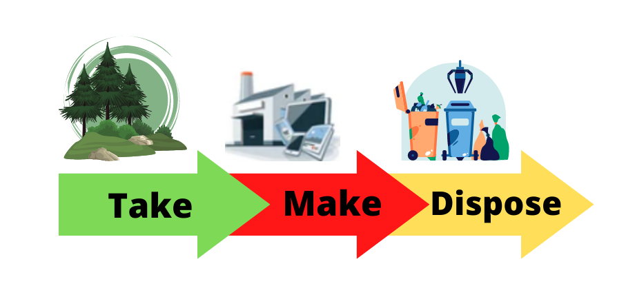 What is Linear Economy and Circular Economy?