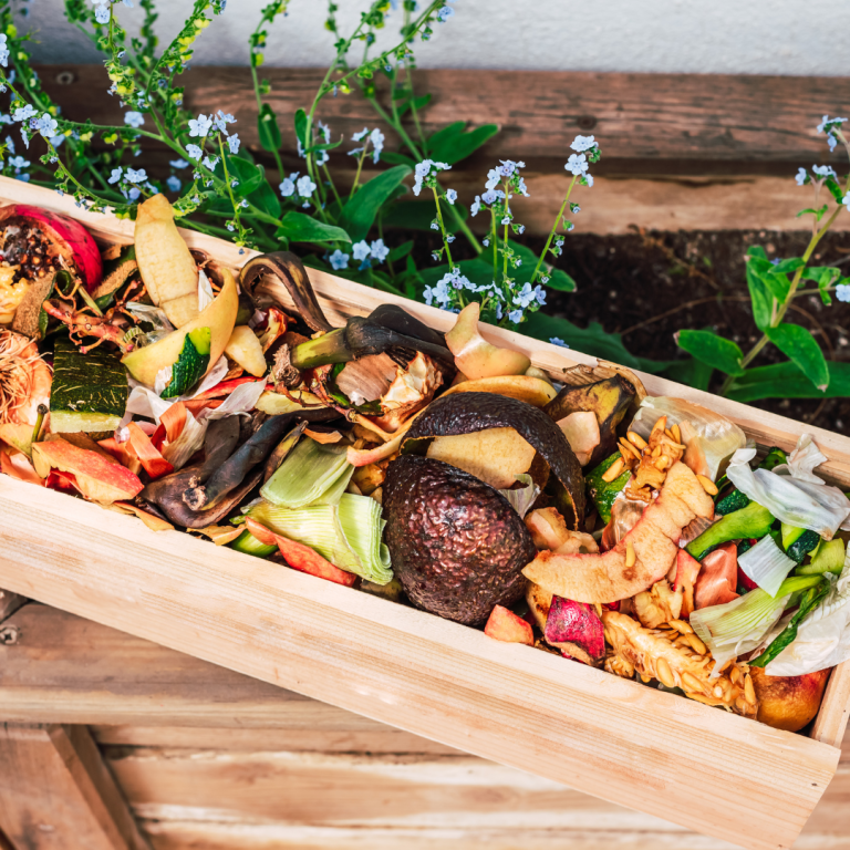 Biodegradable Waste: Definition & All You Need To Know