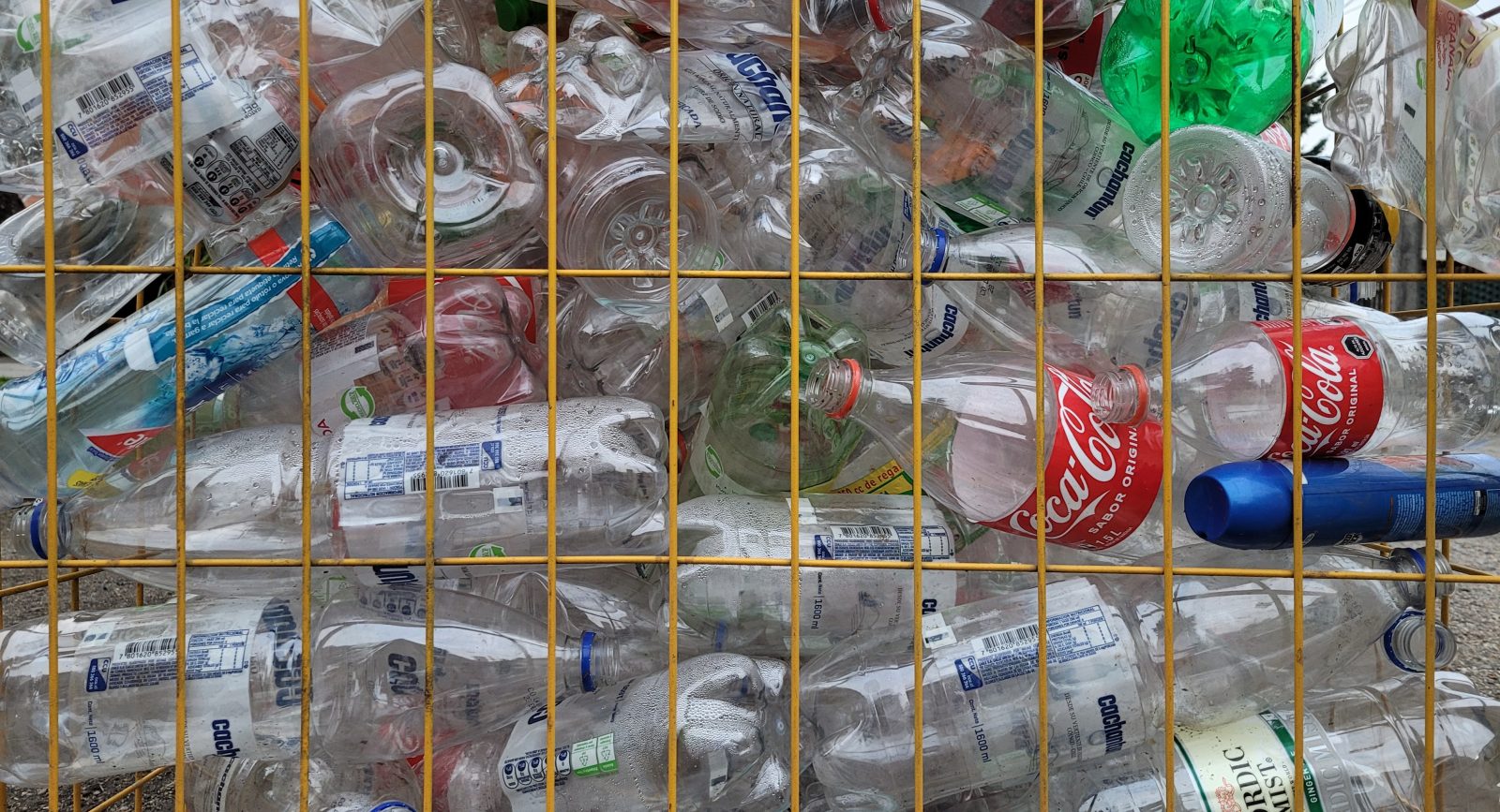 10 Reasons Why You Should Start Recycling Now