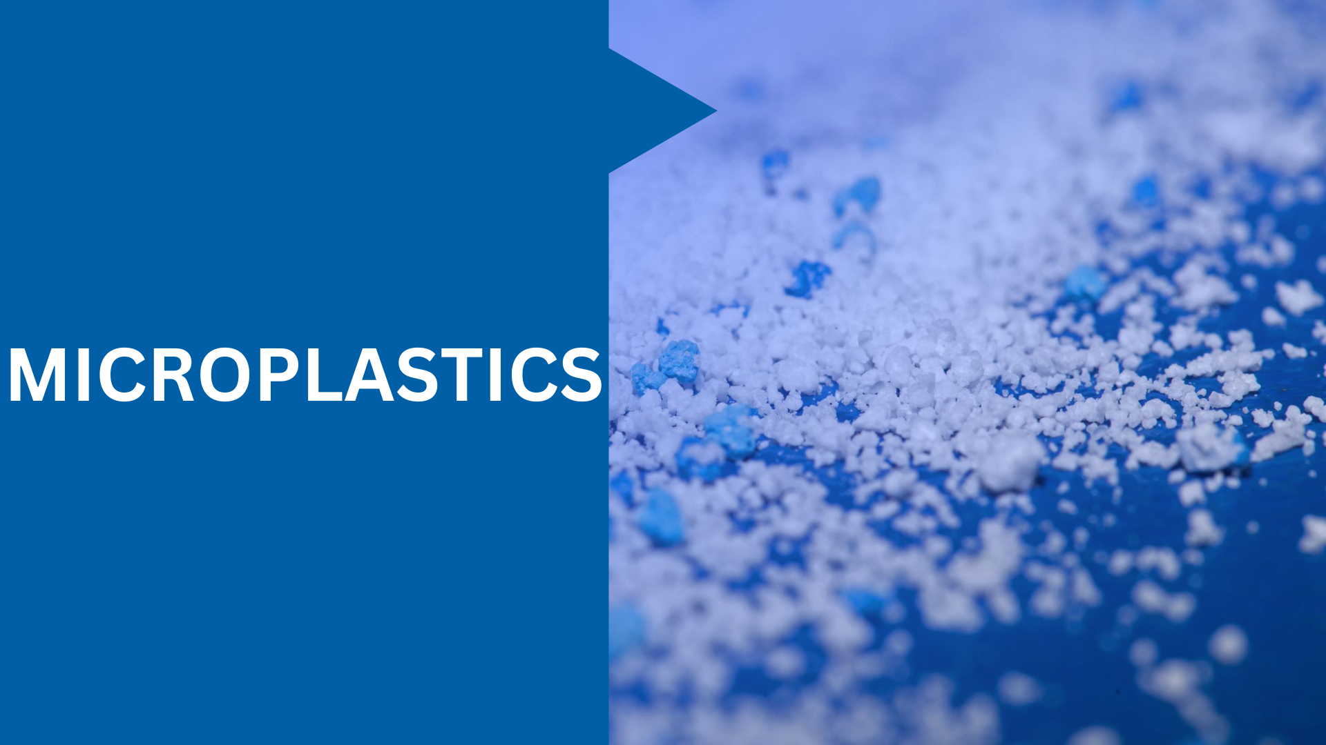 What Are Microplastics and Why Are They a Problem?