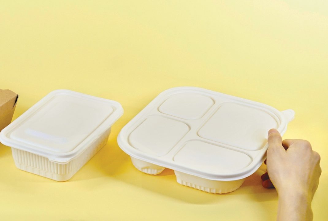 Sustainable Food Packaging and Its Types