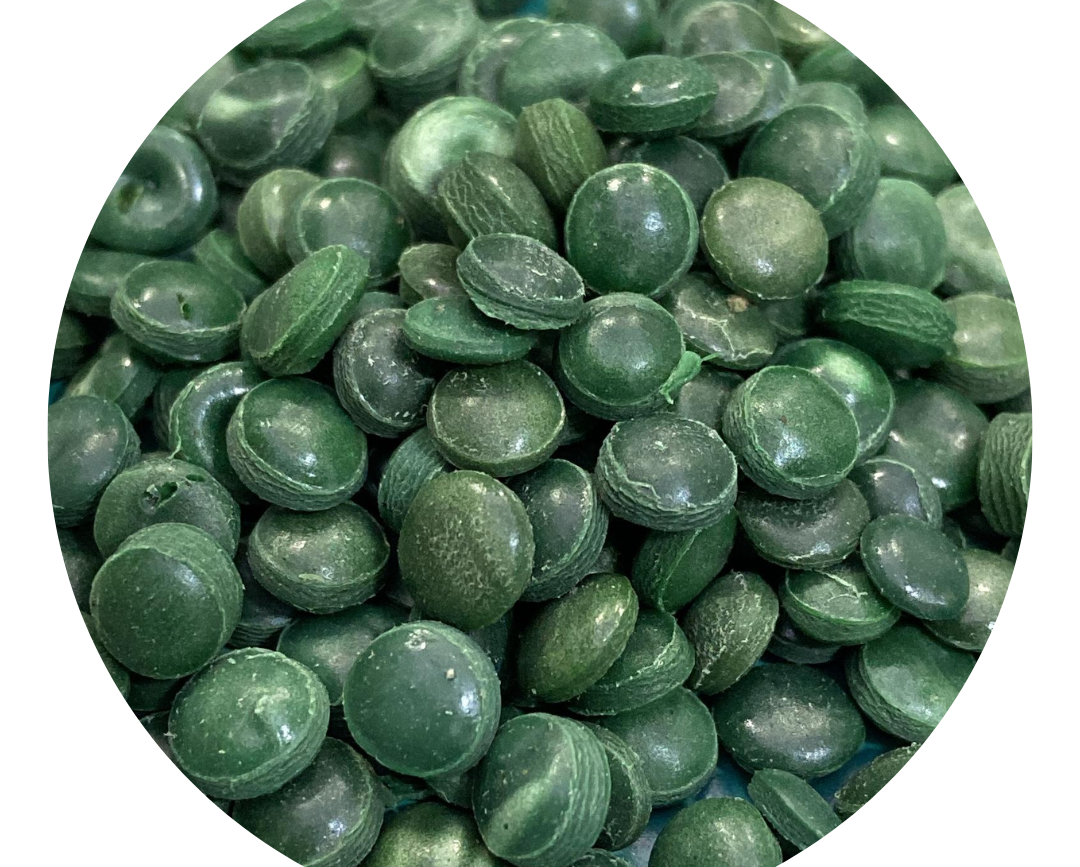 LDPE Green Granules - The Shakti Plastic Industries