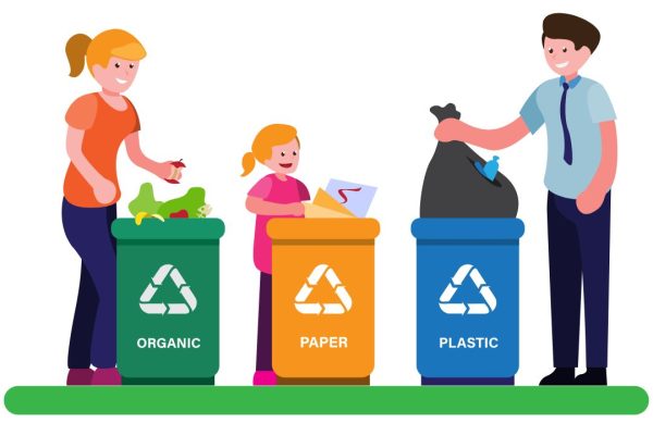 Dry and Wet Waste Segregation | Definition With Examples