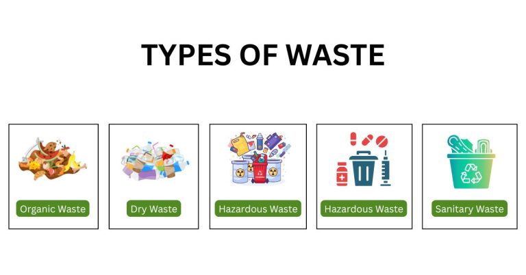 Waste Segregation | How Can We Segregate Waste?